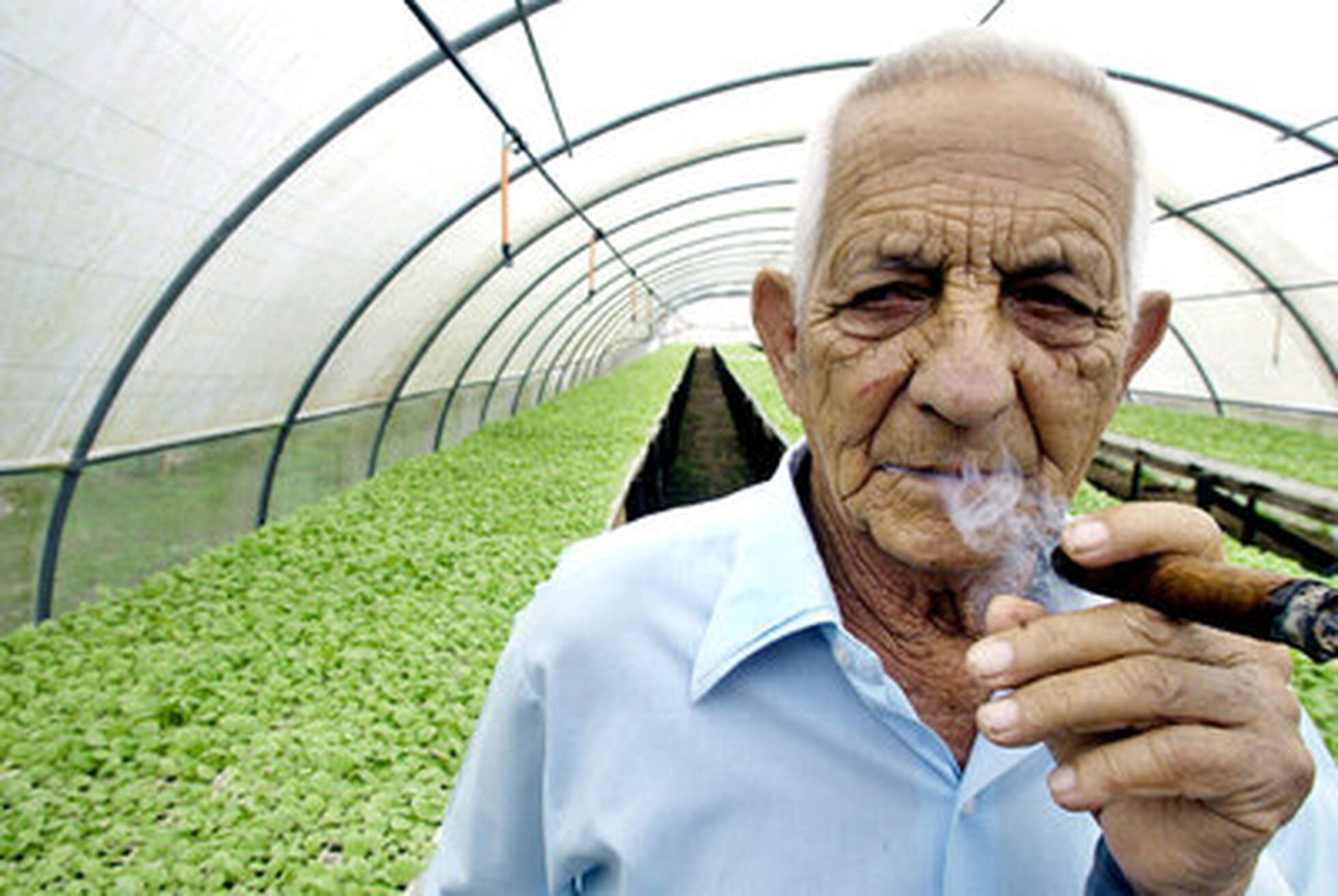 Alejandro Robaina, 'rey' cubano del tabaco | Necrologicas | EL PAÍS