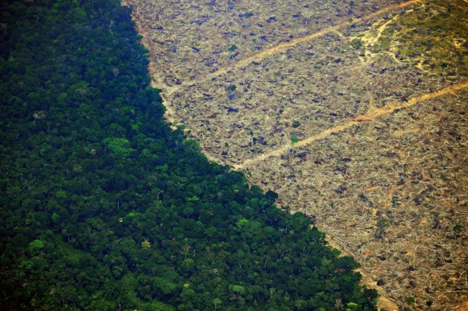El Amazonas devorado por los incendios, en imágenes | Fotos | Ciencia ...