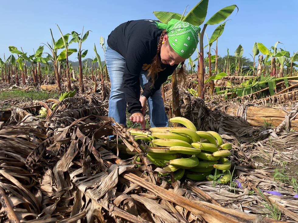 Una isla que solo produce el 20% de lo que come: el gran problema de ...