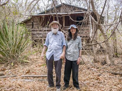 Costa Rica la gran lección del pequeño colibrí | Fotos | EL PAÍS ...