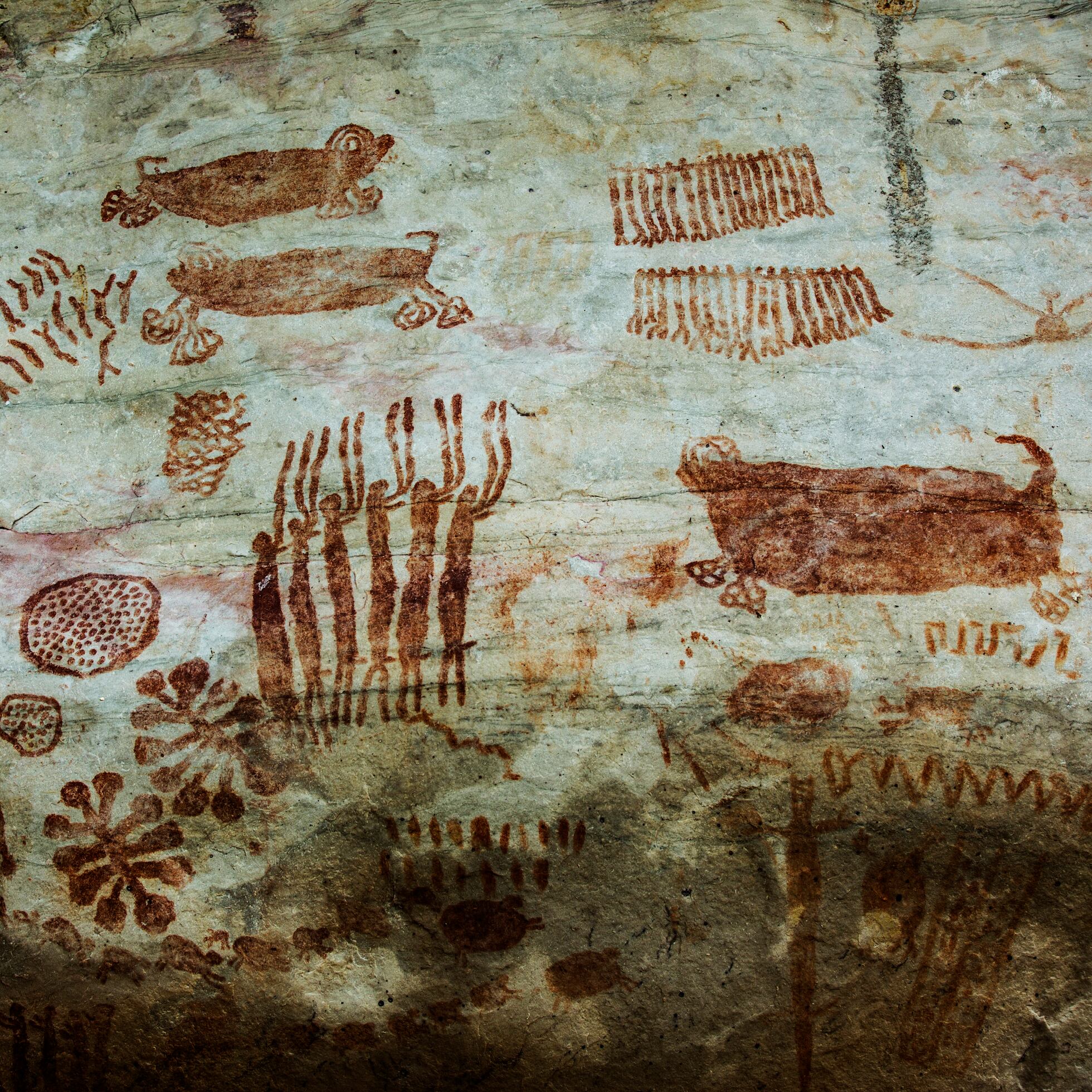¿Equinos de la Edad de Hielo o caballos españoles? La polémica por el ...