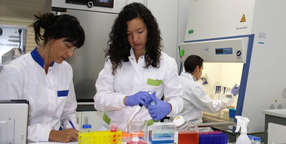 Biotech Foods invertirá 30 millones en la primera fábrica de carne ...