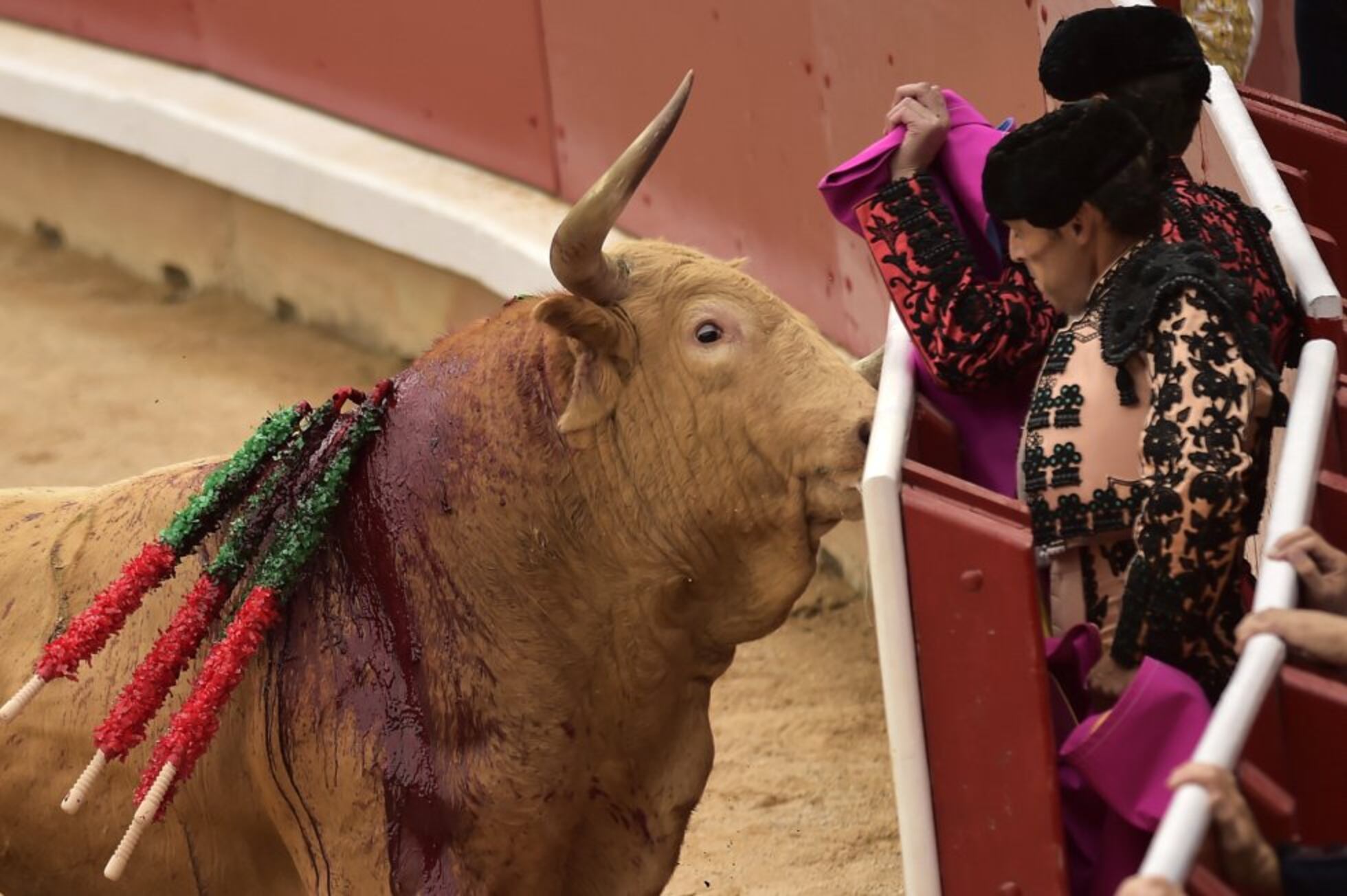 sanfermines La plaza de toros de Pamplona desde dentro: La plaza de ...
