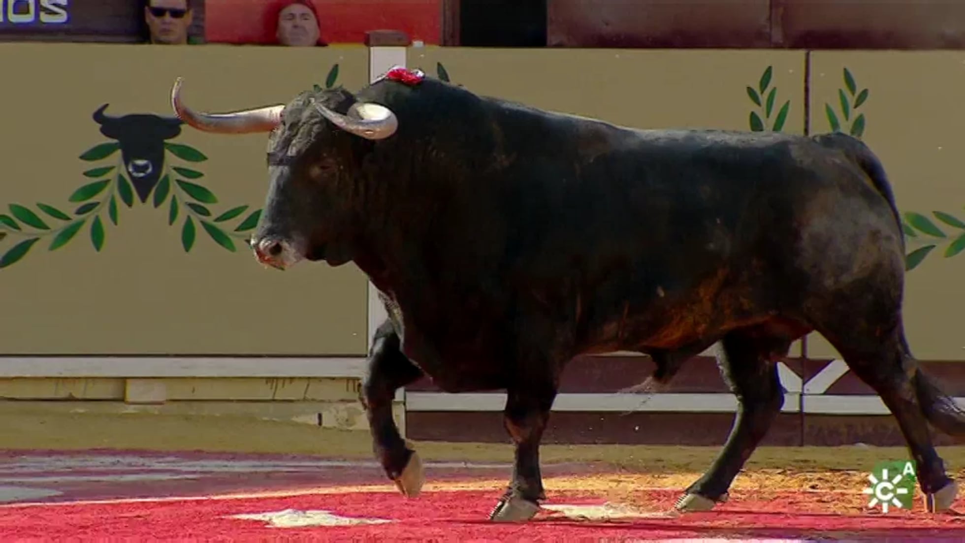 Juan Ortega y Octavio Chacón, la grandeza en el toreo | El toro, por ...