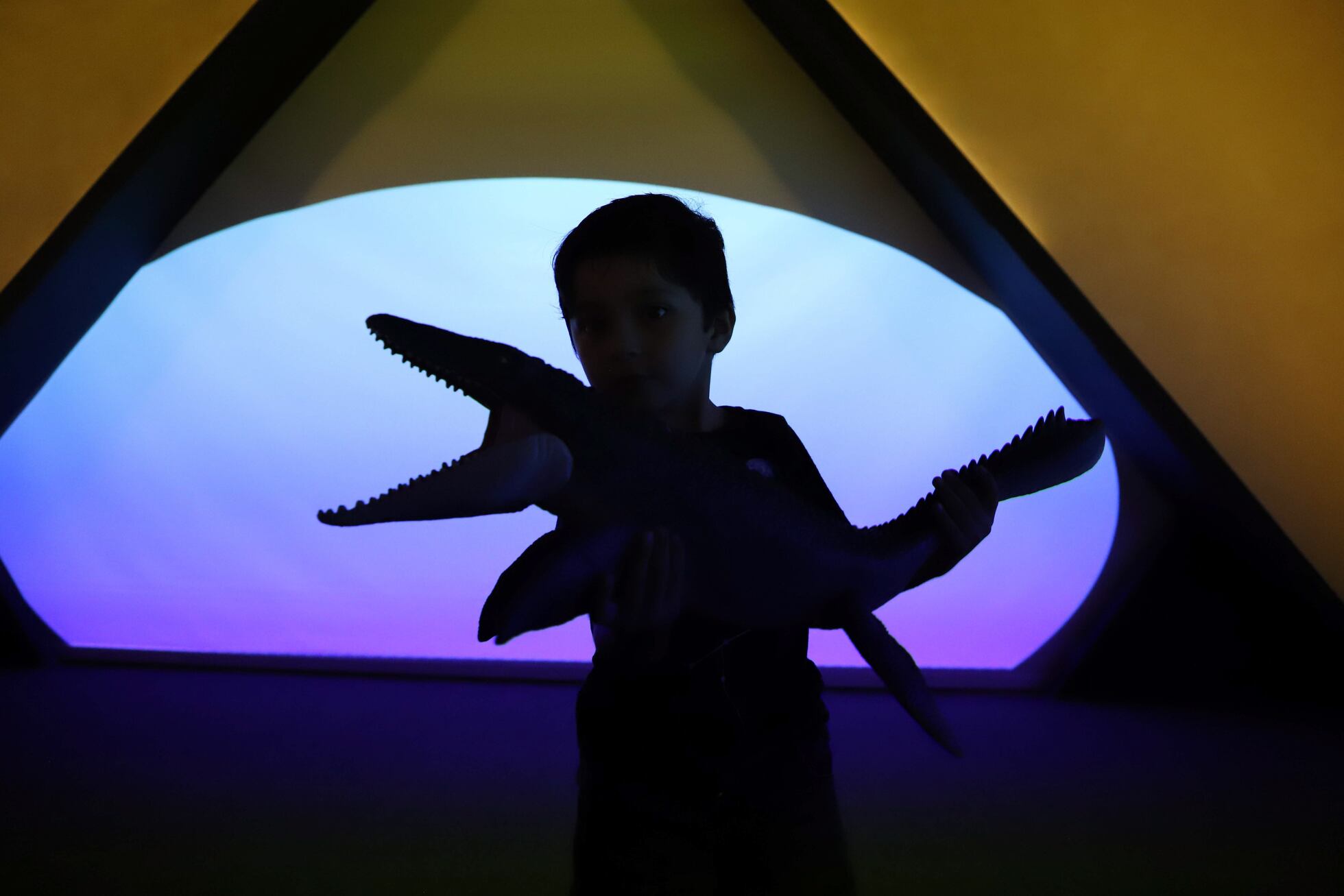 Una experiencia más que jurásica desde el golfo de México: el Museo del ...