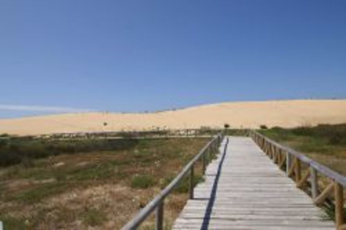 Al borde del rompeolas del Atlántico entre dunas doradas | Fortunas ...