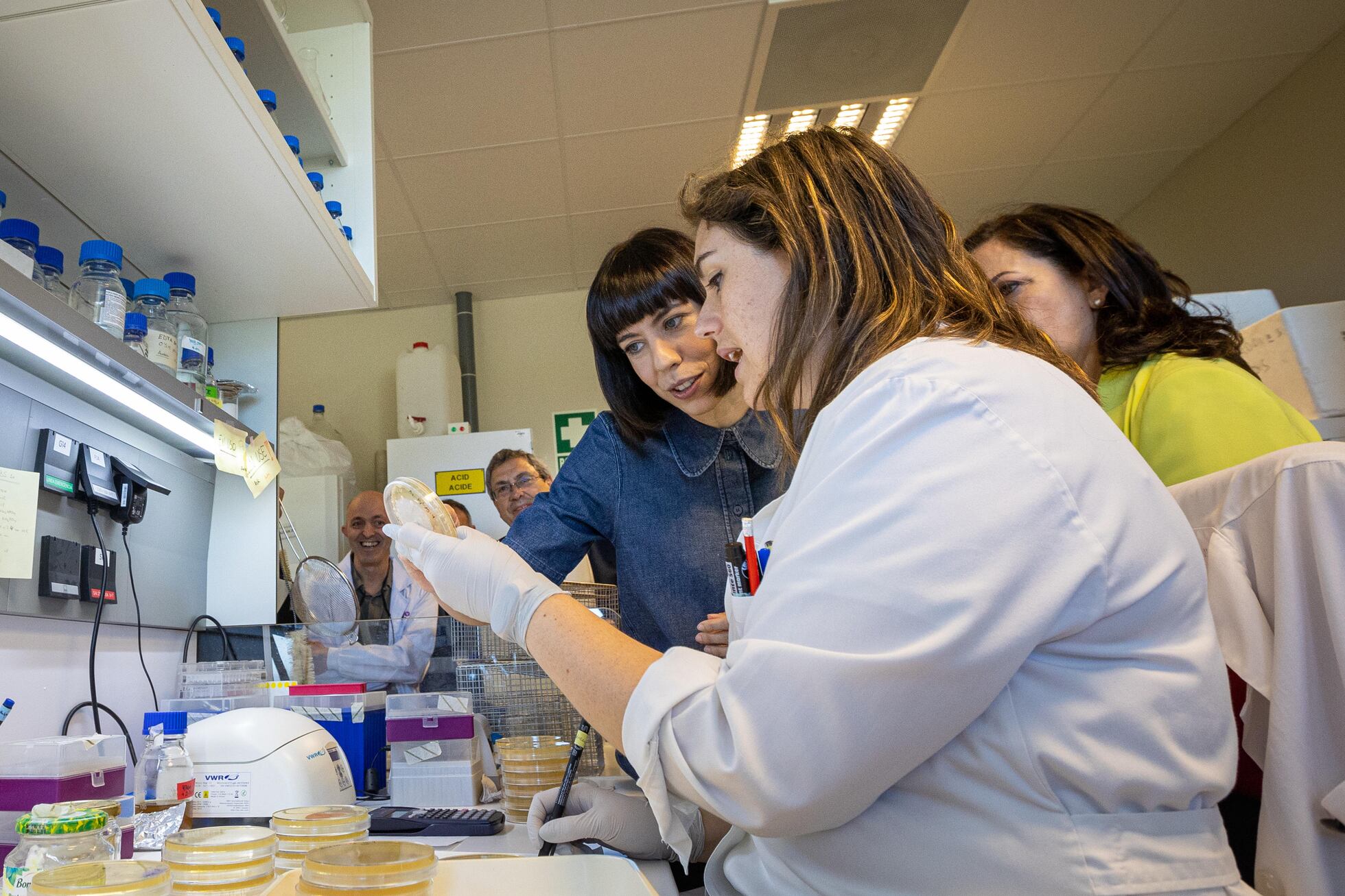 Seis claves de la Ley de la Ciencia, que se enfrenta hoy a la enmienda ...