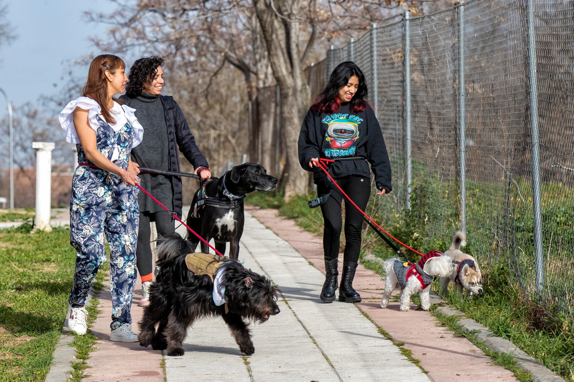 Por qué llevar al perro cada día a una guardería canina (con amigos y ...