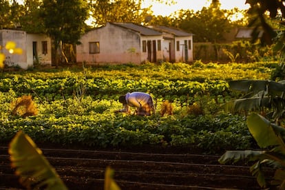 En Massaca hay una solución para cada problema | Fotos | Planeta Futuro ...