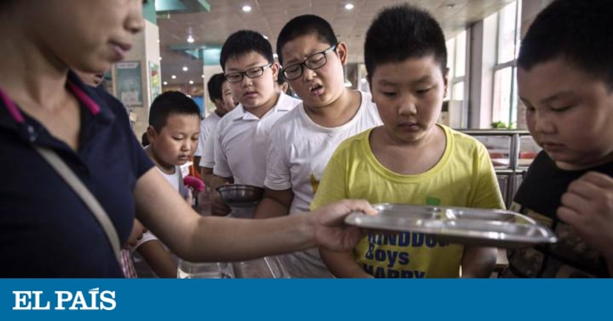 El Número De Niños Obesos Se Multiplica Por 10 En Cuatro Décadas