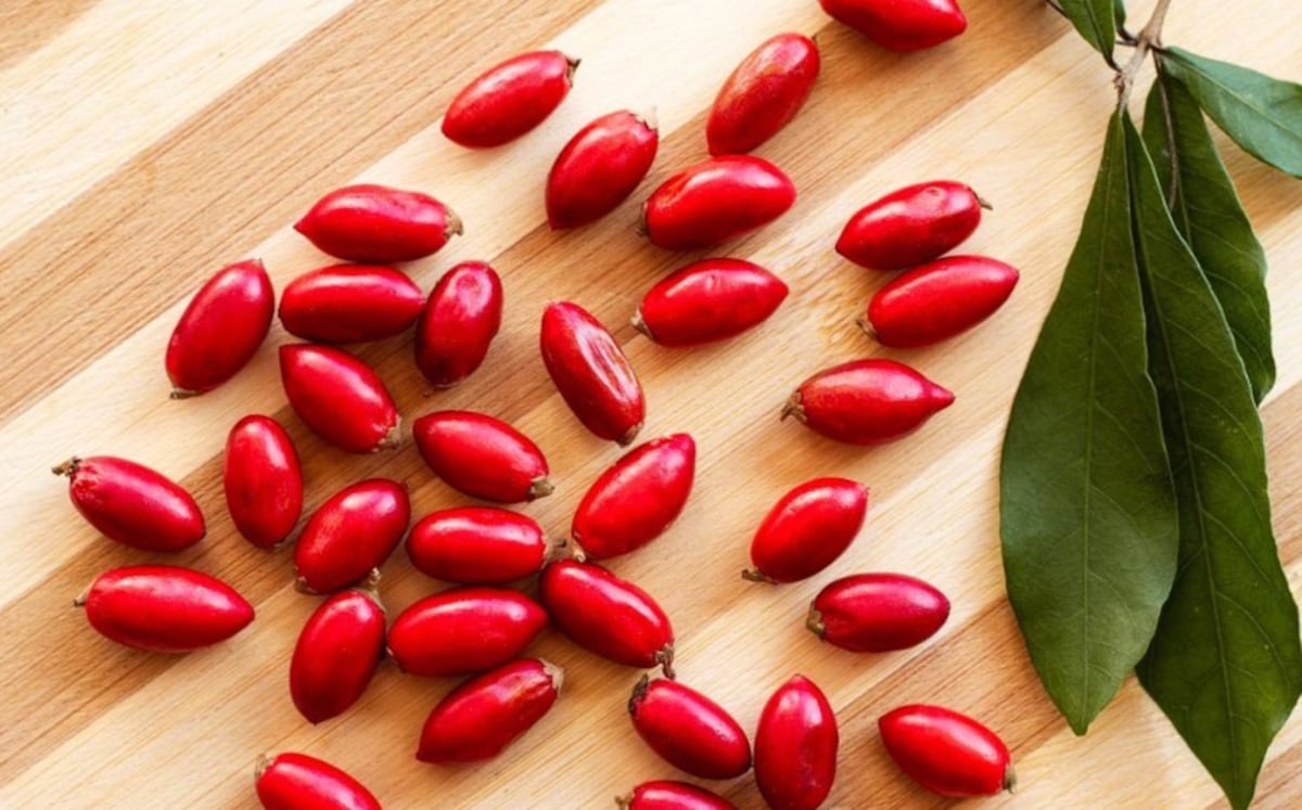 Zafrú, la fruta ‘milagrosa’ que transforma los sabores ácidos en dulces ...