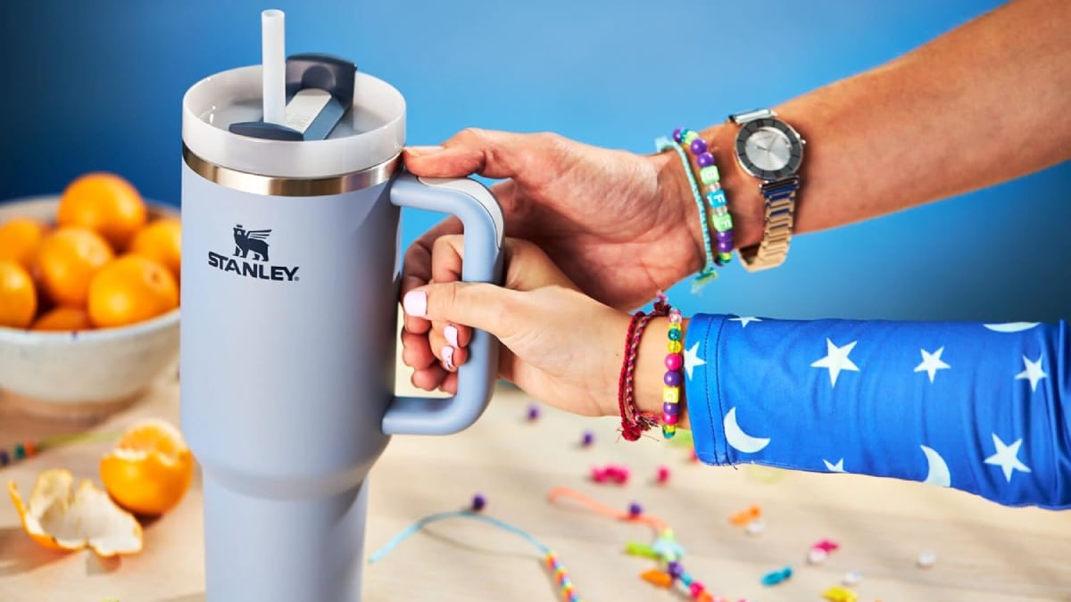 Stanley cup: el termo más viral de TikTok y otras opciones baratas ...