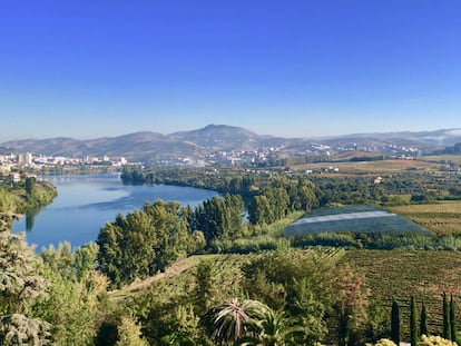 Six Senses Douro, latidos del mejor enoturismo | Gastronotas de Capel ...