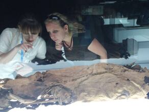 La investigación genética del ADN de Colón descifrará el enigma de su ...