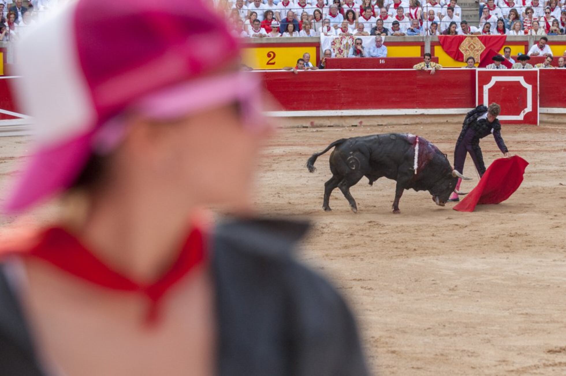 sanfermines La plaza de toros de Pamplona desde dentro: La plaza de ...