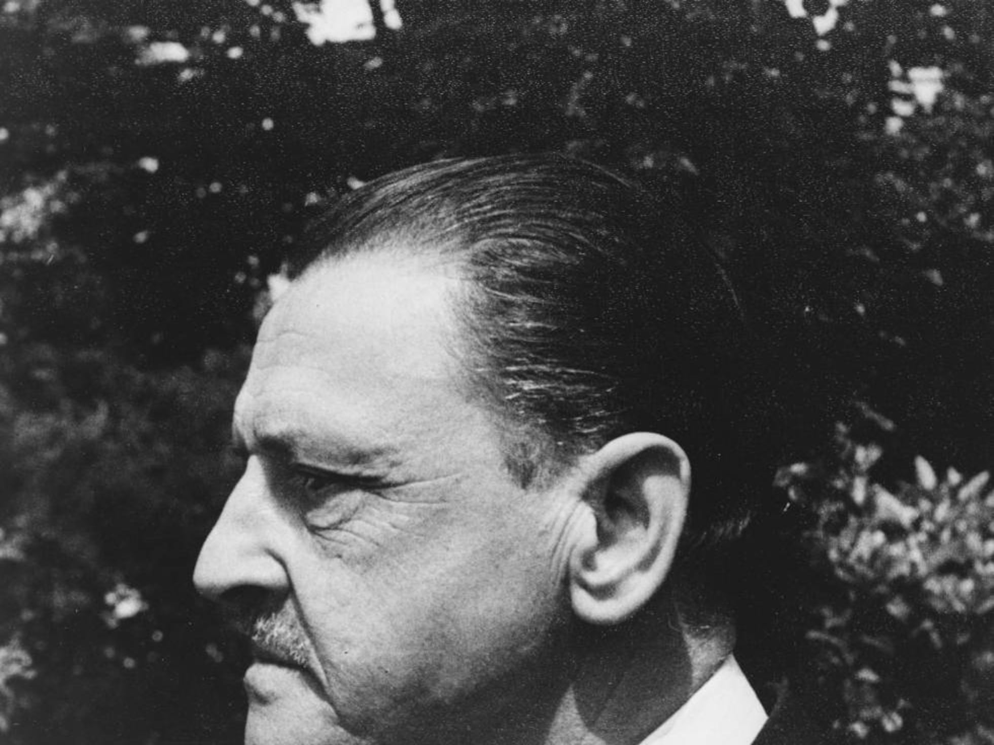 Liza Kemp's Instagram, Twitter & Facebook on IDCrawl