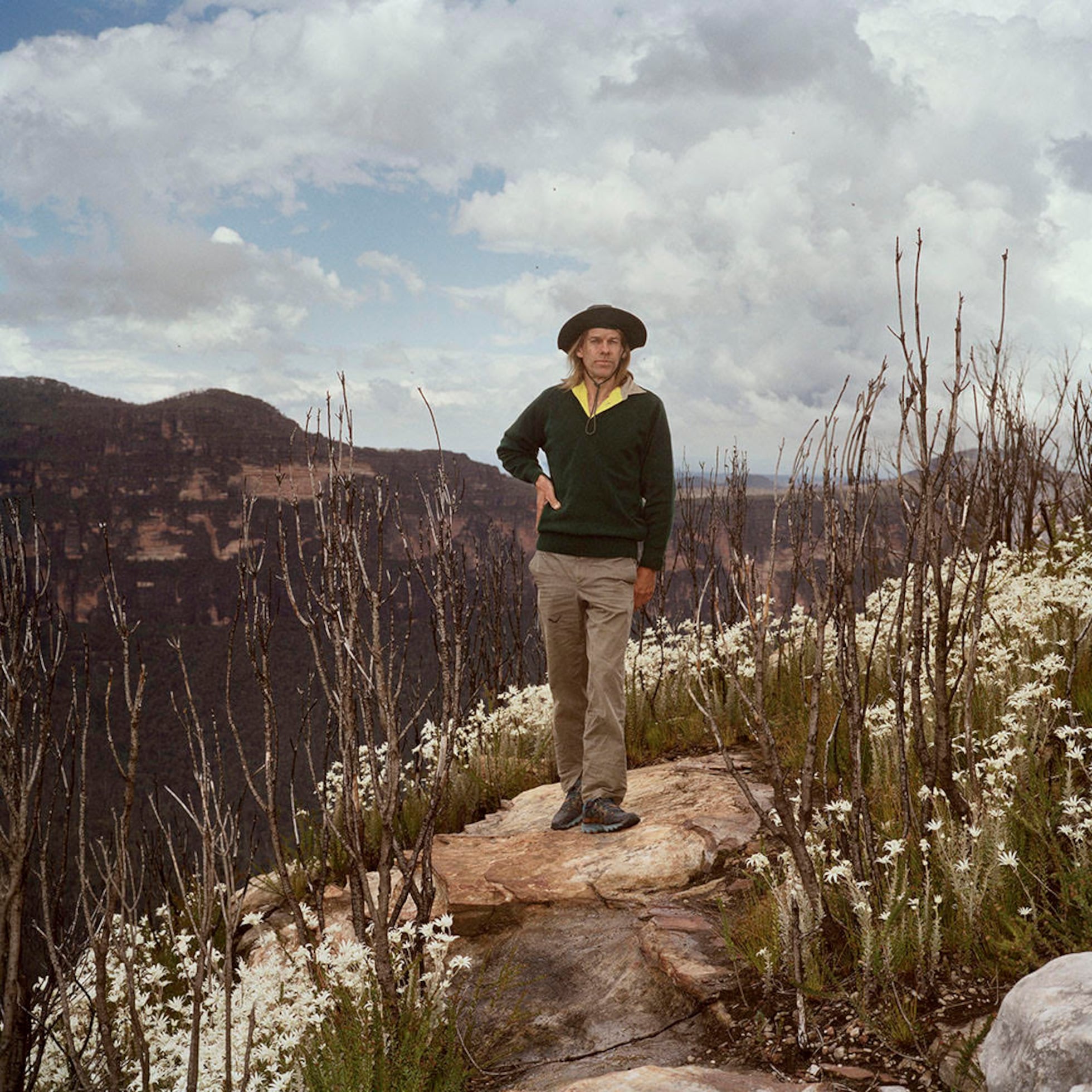 David Noble y ‘Wollemia nobilis’: la sorpresa de encontrar un árbol ...