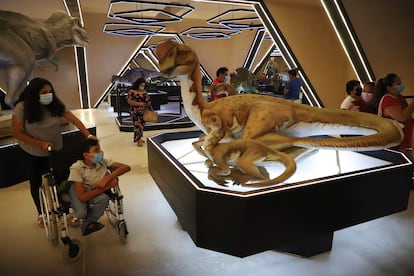Una experiencia más que jurásica desde el golfo de México: el Museo del ...