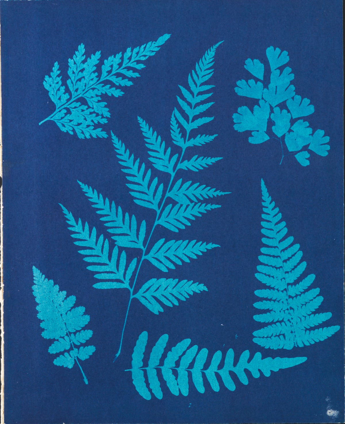 Dos visiones del mundo en una sola historia | Fotos | Babelia | EL PAÍS