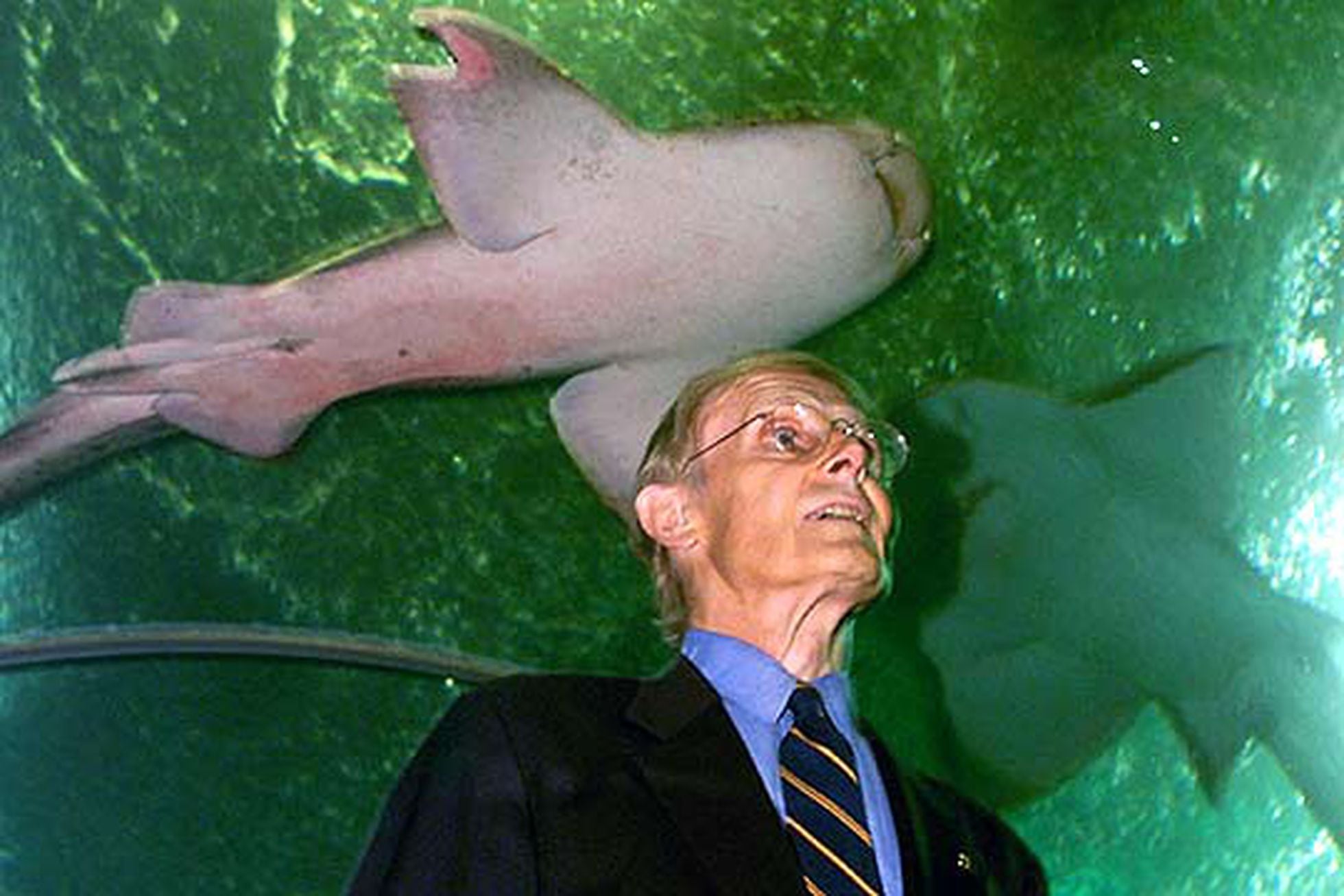 Peter Benchley | Cultura | EL PAÍS