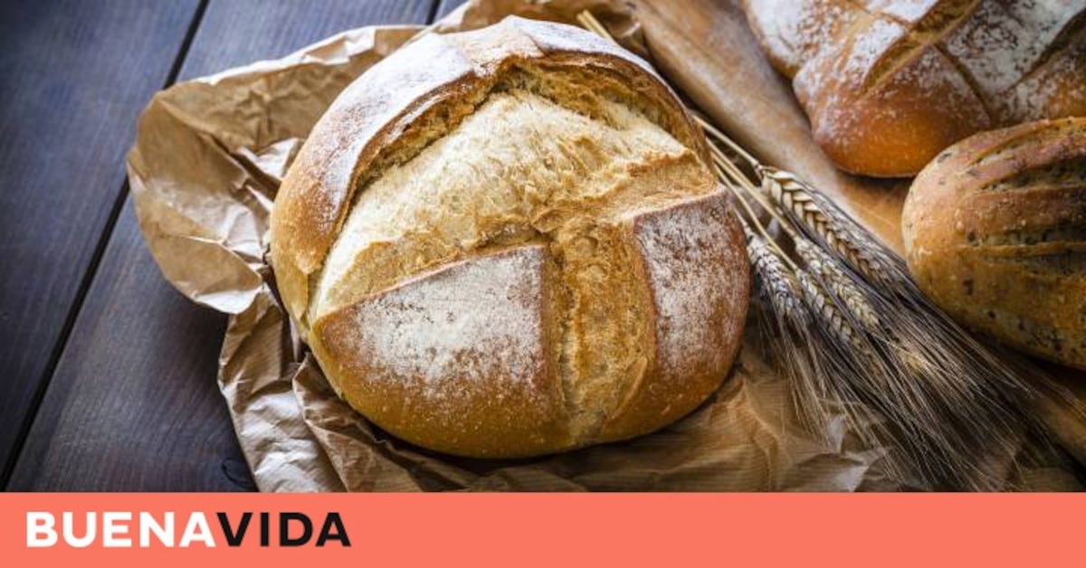 ¿Qué distingue un pan bueno de un pan malo? | Gastronomía | BuenaVida ...