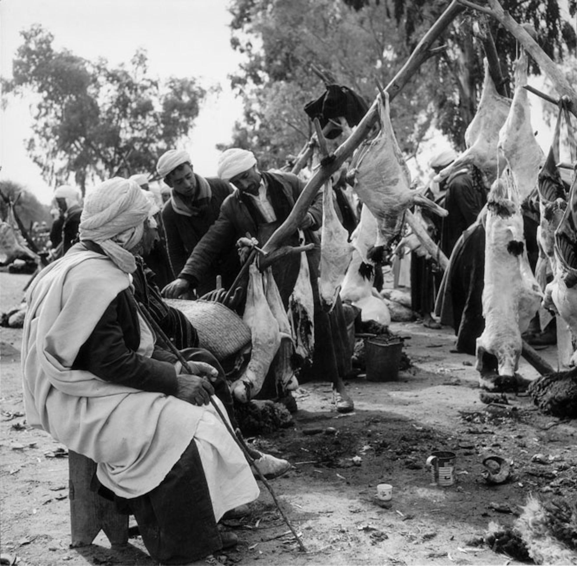 La Argelia de los años cincuenta, en blanco y negro | Fotos | Cultura ...