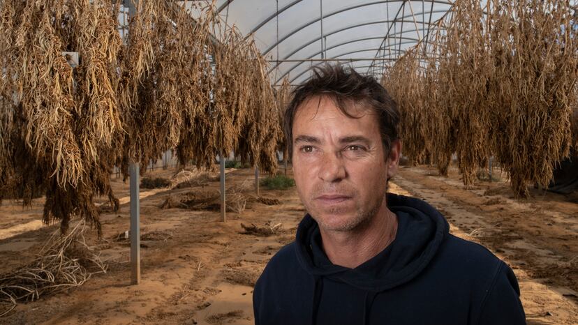 Cultivos Oleaginosos En El PaÍs