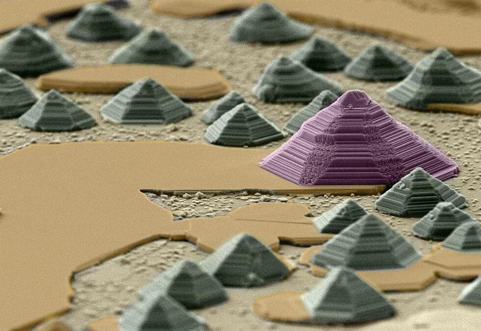 Las Mejores Fotografías Científicas Españolas De 2017 Fotos Ciencia