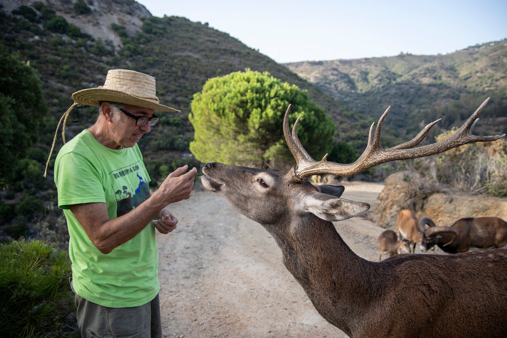 La agonía de la Eco Reserva de Ojén | España | EL PAÍS