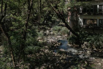 Las mujeres que defienden la selva desde las favelas de Río de Janeiro ...