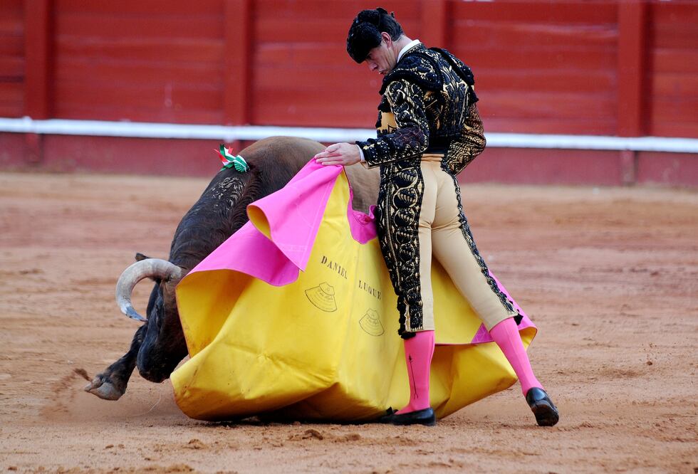 Daniel Luque, la presión de un torero grande que nunca fue niño ...