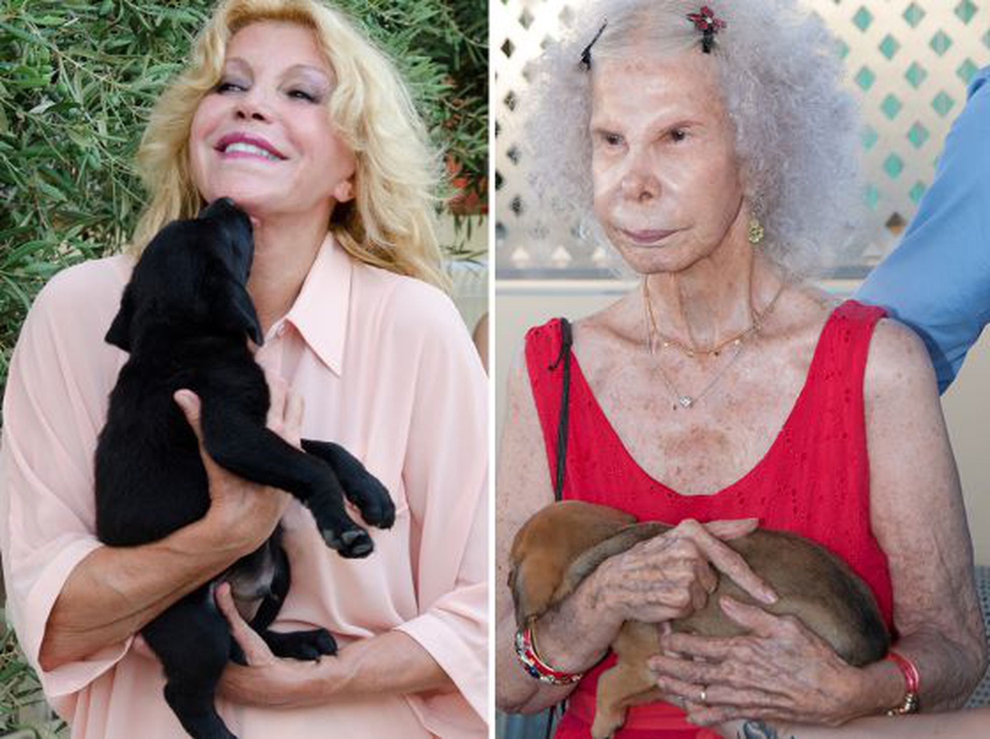 La duquesa de Alba y la baronesa Thyssen adoptan perros en Ibiza ...