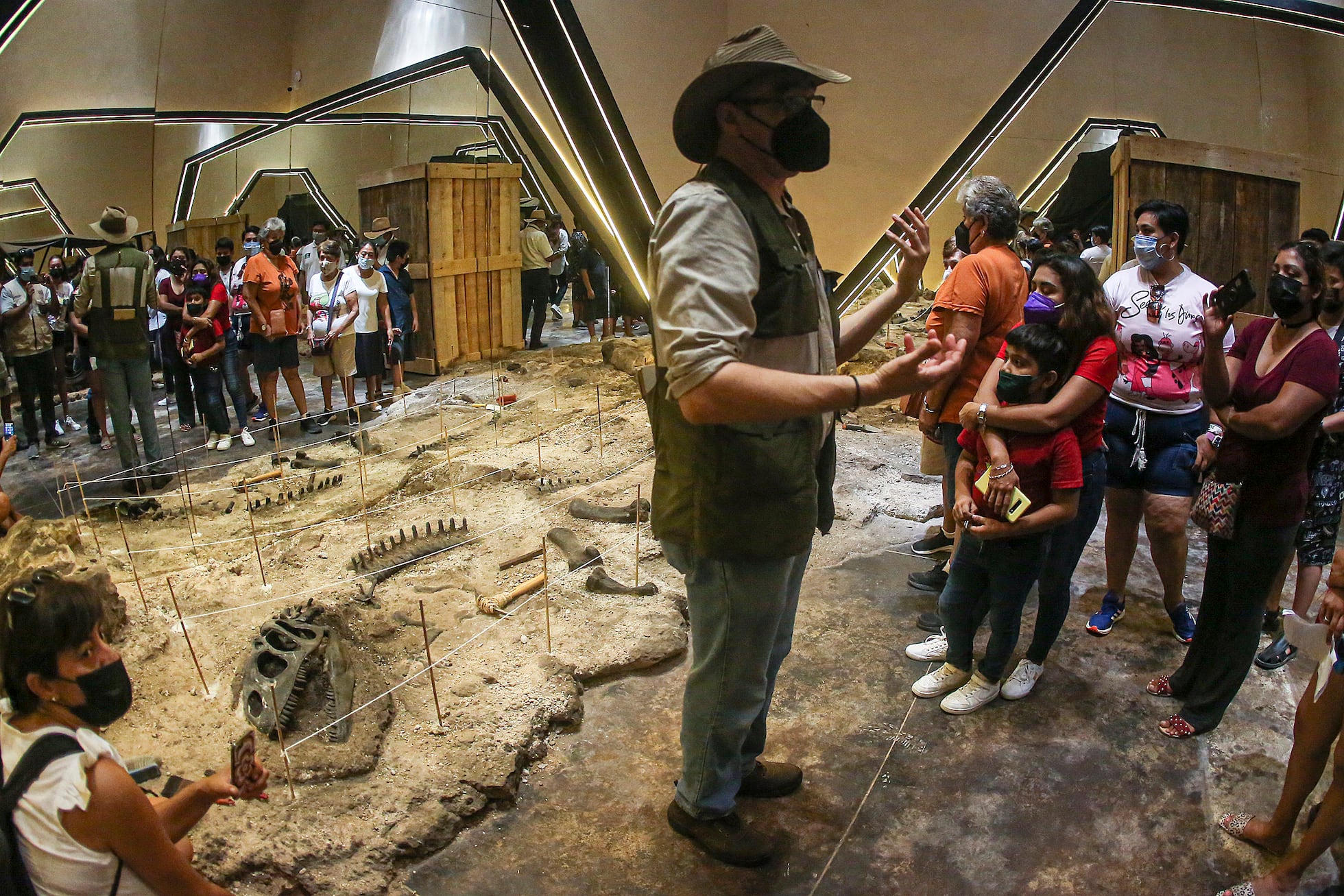 Una experiencia más que jurásica desde el golfo de México: el Museo del ...