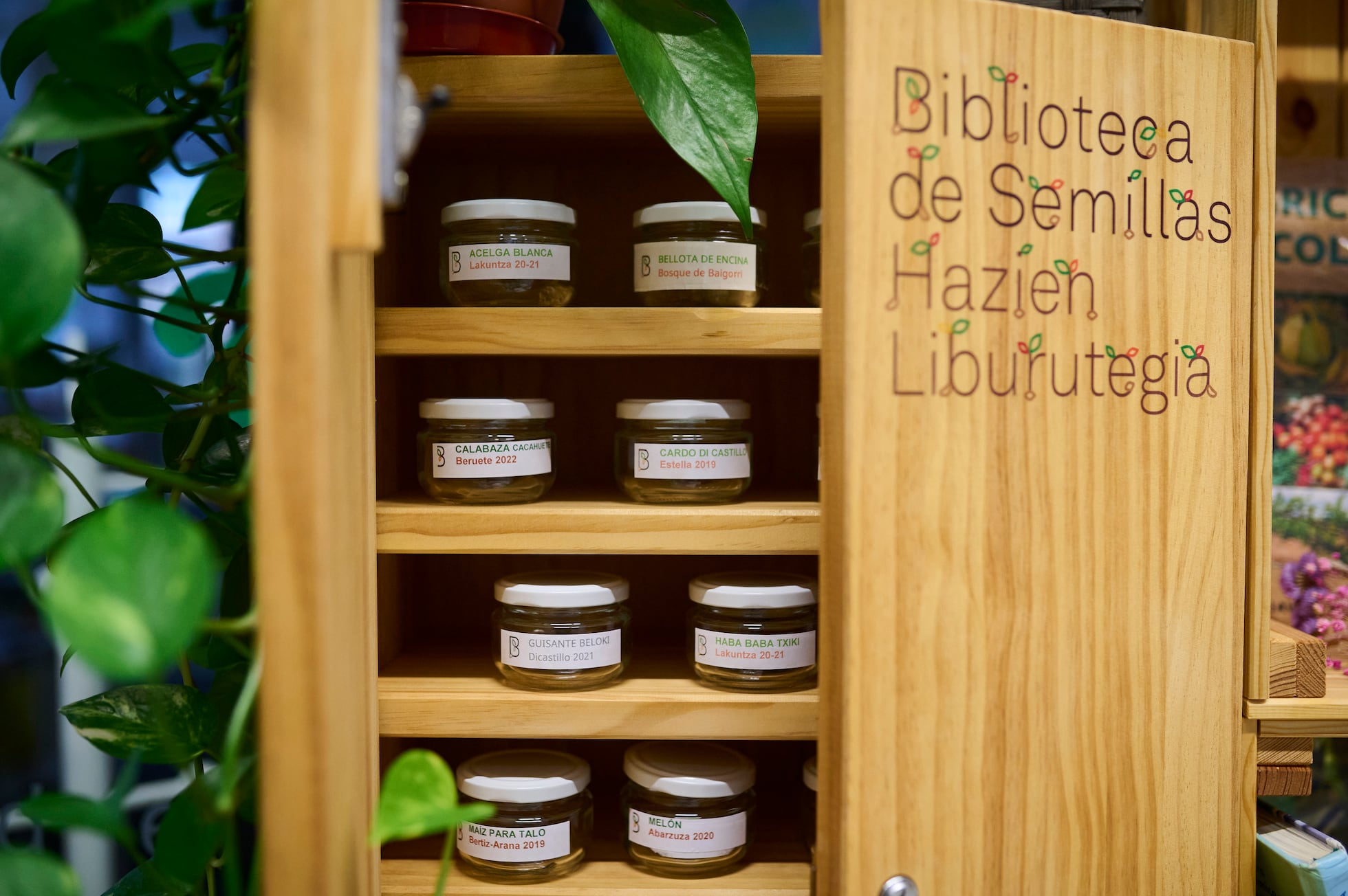 Bibliotecas de semillas en Navarra: “Los guisantes y los tomates están ...