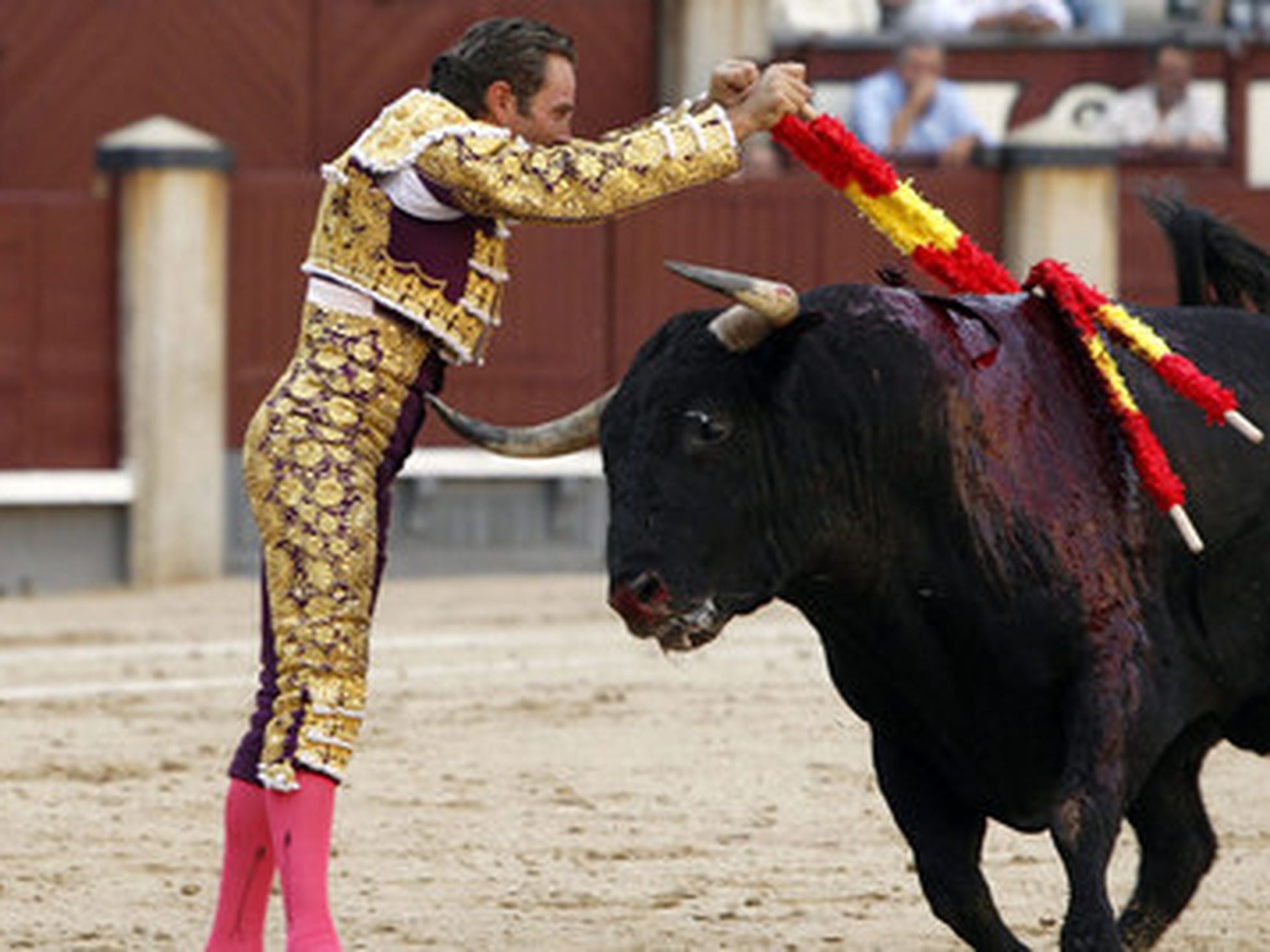 Alejandro Amaya Matador