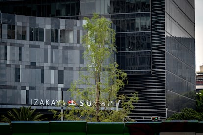 El Gobierno de Ciudad de México planta un nuevo ahuehuete en Paseo de ...