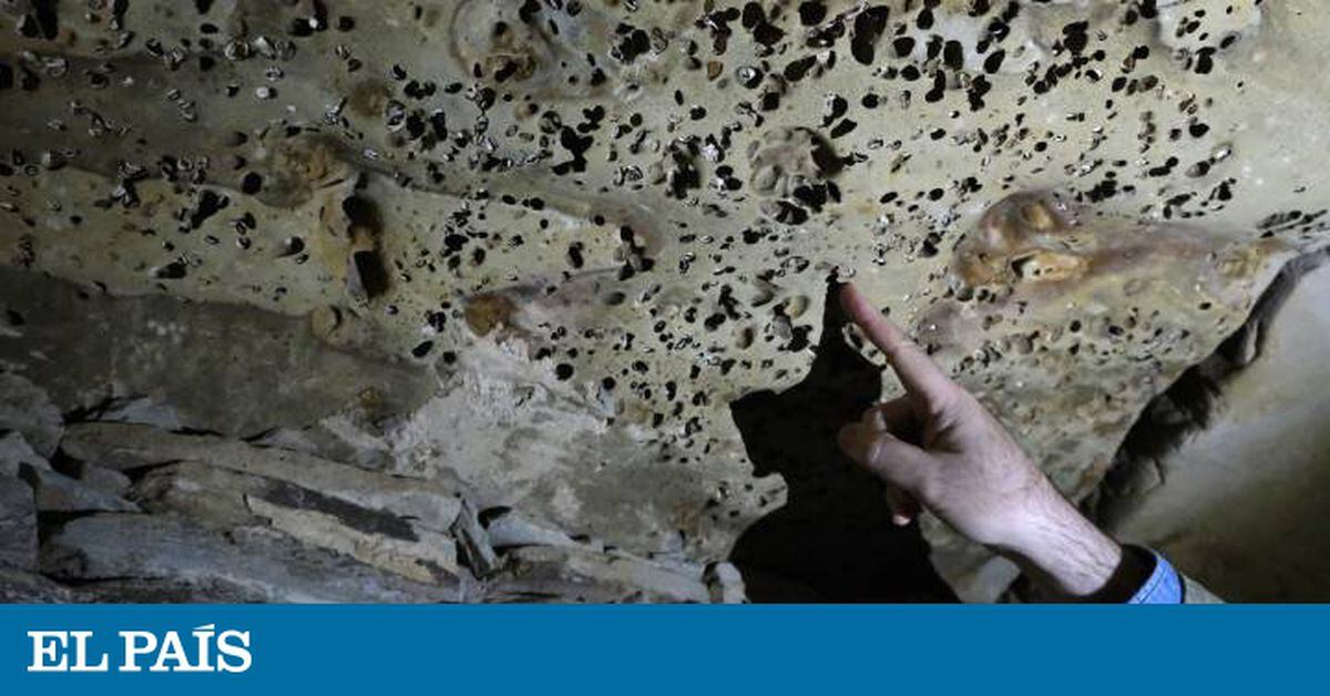 Cuando la humanidad buscó las piedras que unieran el cielo y el mar ...