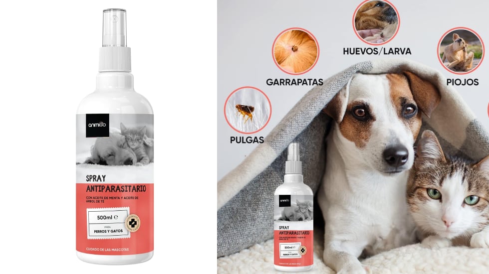 Cómo eliminar los ácaros en casa con estos 11 productos eficaces ...