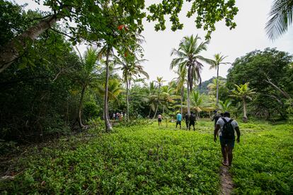El Santuario de Acandí, un ejemplo para la conservación en Colombia ...