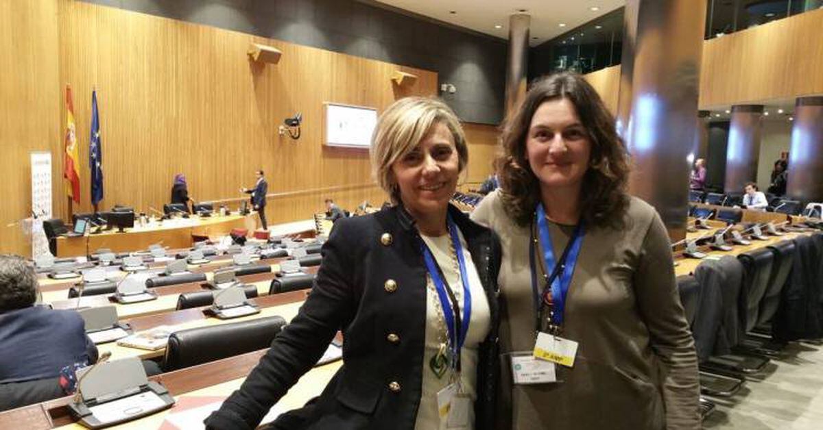 Ana Coto: La abstención de una diputada de Cs que dimite salva los ...