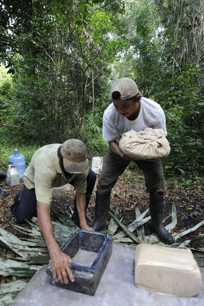 Chicleros, guardianes de la selva maya | Fotos | Planeta Futuro | EL PAÍS