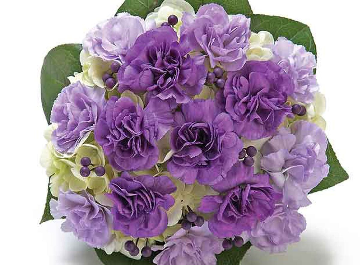 Ramo de claveles azules | Sociedad | EL PAÍS