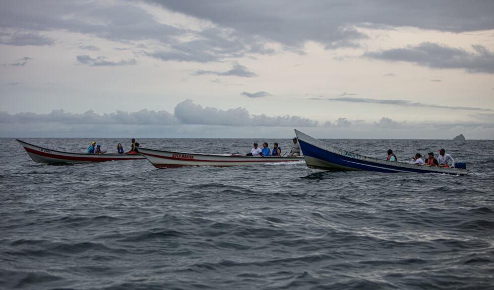 El Santuario de Acandí, un ejemplo para la conservación en Colombia ...