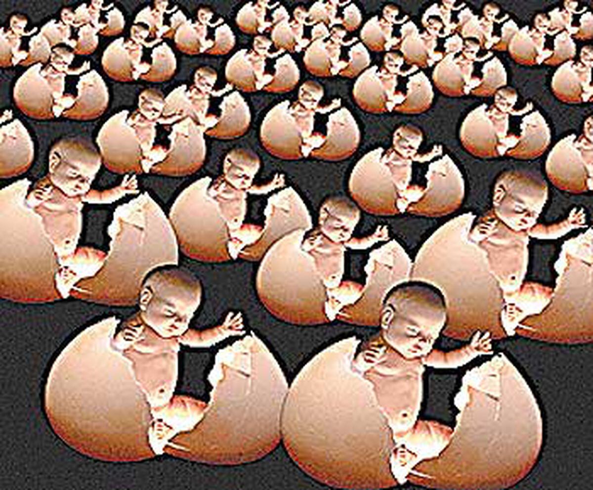 Recreación de clones humanos | Domingo | EL PAÍS