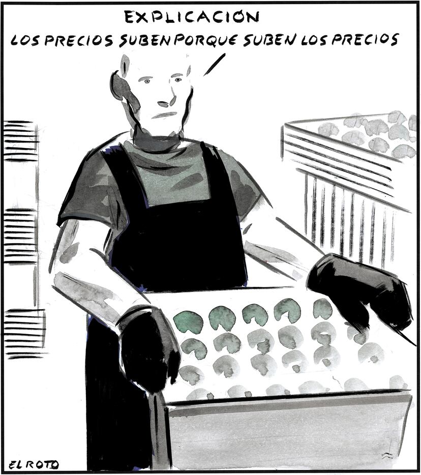 El Roto | Opinión | EL PAÍS