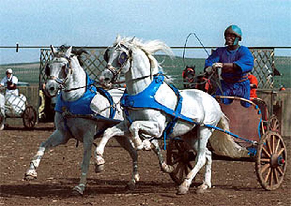 CARRERAS DE BIGAS | Agenda | EL PAÍS