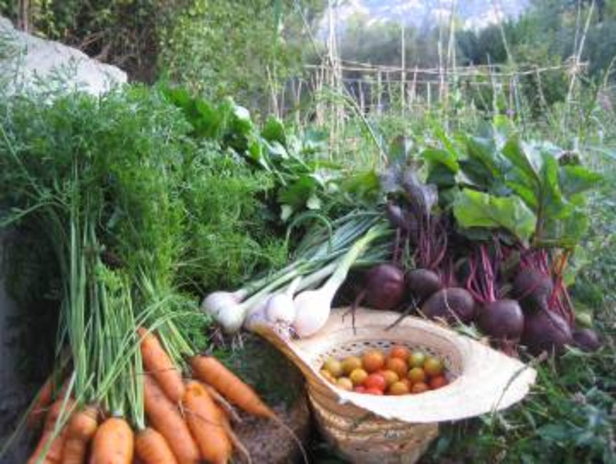 10 restaurantes españoles que cultivan su propio huerto | El Viajero ...