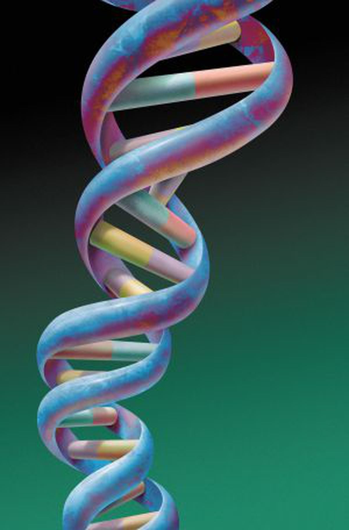 Las diferencias genéticas están dentro del cuerpo | Ciencia | EL PAÍS