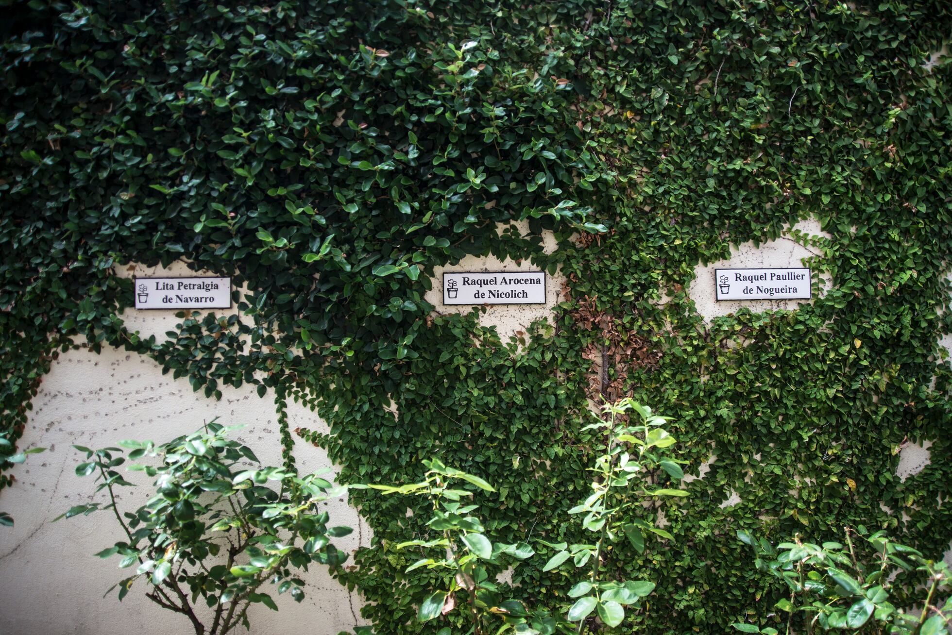 Fifty Years Of The Nuestros Hijos Library The Mothers Tribute To Those Who Did Not Return From 