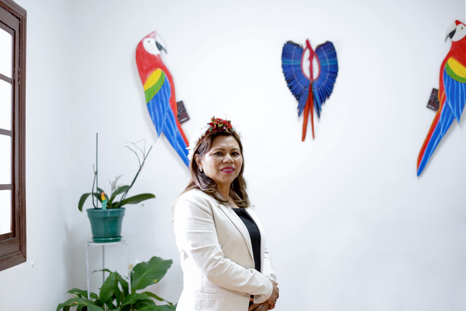Fany Kuiru Castro, lideresa indígena, sobre el accidente aéreo en ...